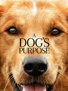 a dog's purpose