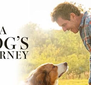 A Dog's Journey