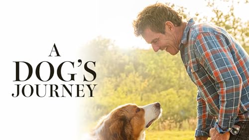 A Dog's Journey