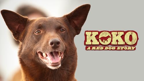 Koko: A Red Dog Story