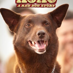 Koko: A Red Dog Story