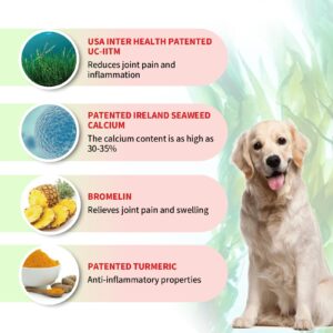 Love Can Fly Dog and Cat Joint Protection and Bone Health - Patented UC-II & Seaweed Calcium/Natural Anti-Inflammatory/Maintain Strong Bone Structure/Enhanced Nutrition - 120 Capsules