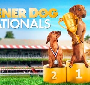 Wiener Dog Nationals