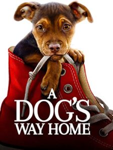 a dog's way home