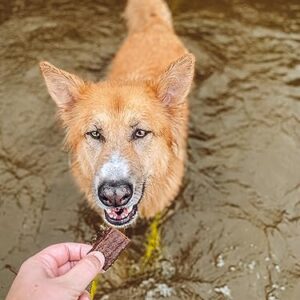 Tender & True Organic Turkey Jerky Treat, 4 oz bag