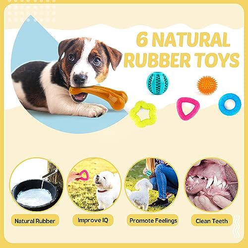 LOYEE Puppy Toys 21 Pack, Small Dog Chew Toys with Rope Toys for Teething Pet Cute Squeak Toy with Treating Ball for Puppy, Small Dogs