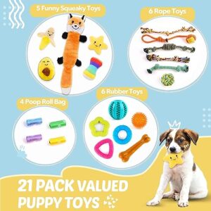 LOYEE Puppy Toys 21 Pack, Small Dog Chew Toys with Rope Toys for Teething Pet Cute Squeak Toy with Treating Ball for Puppy, Small Dogs