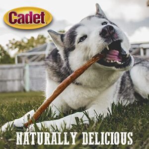 Cadet Bully Hide Sticks for Small, Medium and Large Dogs – All-Natural Beef Pizzle, High Protein, Low Fat, Long-Lasting, Grain & Rawhide-Free Dog Chews for Aggressive Chewers, Large (7 Count)