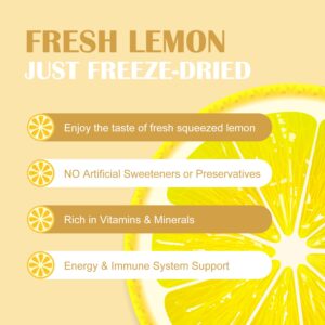 Grelim Lemon Powder 11.30 Oz, 100% Lemon Juice Freeze Dried Powder, Filler Free, Gluten-Free, Rich in Natural Vitamin C Fresh Squeezed Lemon Flavor Great for Beverages, Smoothies 320g