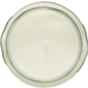 Premium 100% All Natural Soy Tureen Candle - 11 oz. - Lemon - True to The name. Made w/natural lemon oil.