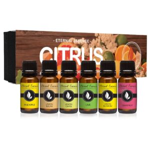 citrus - gift set of 6 premium fragrance oils - lemon grass, lemon blossom, lemon sugar, lime, grapefruit and pineapple - 10ml