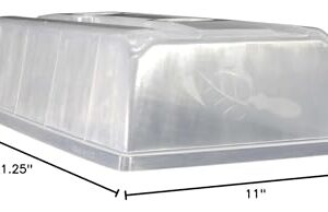 Bootstrap Farmer Humidity Dome 5" Tall Extra Strength, 2 Pack, Propagation Seed Cloning Lid Vented for 1020 Tray Seed Starting Germination