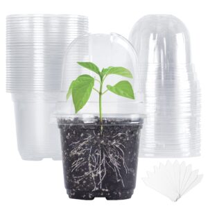 bonviee 30 sets plant nursery pots with humidity domes, 4 inch clear nursery pots (30 pots + 30 clear lids), seed starter pots small planter containers with drain holes with 10 plant labels- clear