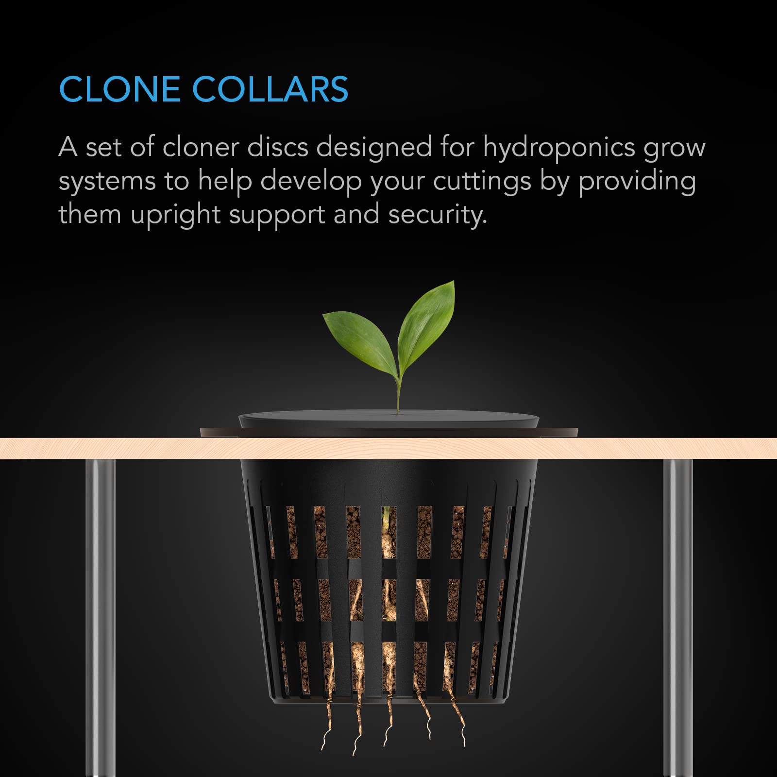 AC Infinity Clone Collar 4-Inch, Cloner Inserts with 8-Spoke Design, 50-Pack for Use with Net Cups in Hydroponics Growing Systems, Aeroponics, Cloning Machines, and Home Gardening