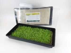 biostrate felt micro greens kit, 10 sheets of biodegradable felt pads with tray and dome