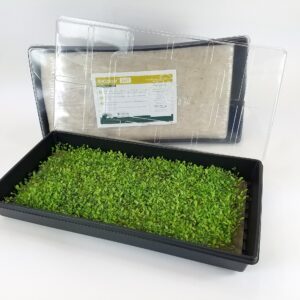 Biostrate Felt Micro Greens Kit, 10 Sheets of Biodegradable Felt Pads with Tray and Dome