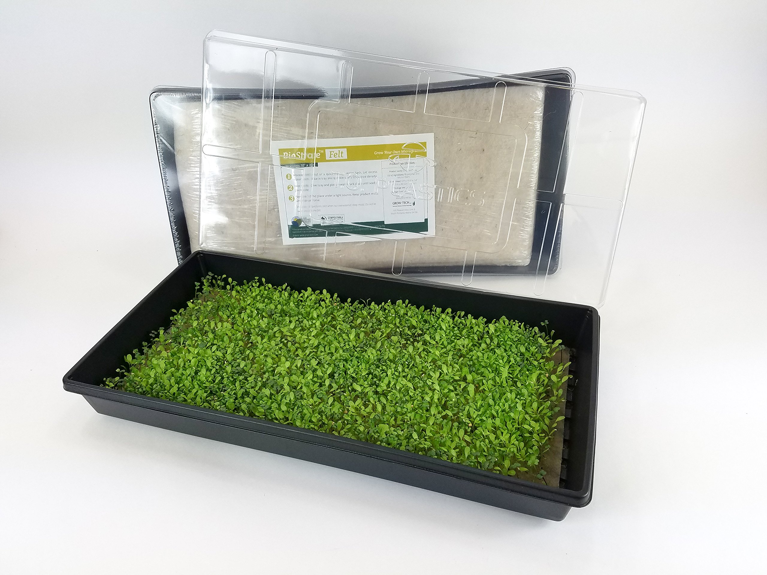 Biostrate Felt Micro Greens Kit, 10 Sheets of Biodegradable Felt Pads with Tray and Dome