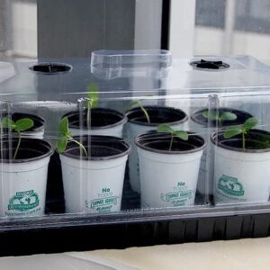 Extra Thick Seedling Growing Trays with Drainage Holes and Humidity Domes with Vents for Control of Humidity, and Temperature Inside. Acts as a Mini Greenhouse for Propagation. (1)