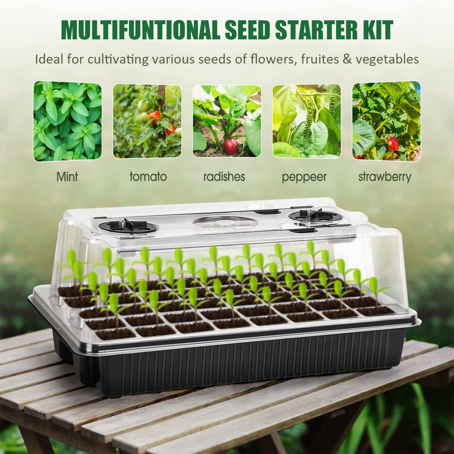 Carzos Seed Starter Tray Kit with Grow Lights, 2 Pack 80 Cells Seed Trays with Humidity Dome, Mini Greenhouse for Seeds Growing Starting Sprouting Germination