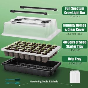 Carzos Seed Starter Tray Kit with Grow Lights, 2 Pack 80 Cells Seed Trays with Humidity Dome, Mini Greenhouse for Seeds Growing Starting Sprouting Germination