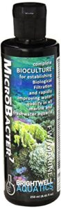 brightwell aquatics microbacter7 - bacteria & water conditioner for fish tank or aquarium, populates biological filter media for saltwater and freshwater fish 250ml