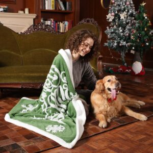 Amélie Home Sherpa Throw Blanket for Couch, Snow Sherpa Throw Blanket for Couch Soft Teddy Sherpa Reverse, Decorative Fleece Thick Warm Blanket for Sofa Bed (Green, 50 x 60'')