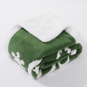 Amélie Home Sherpa Throw Blanket for Couch, Snow Sherpa Throw Blanket for Couch Soft Teddy Sherpa Reverse, Decorative Fleece Thick Warm Blanket for Sofa Bed (Green, 50 x 60'')