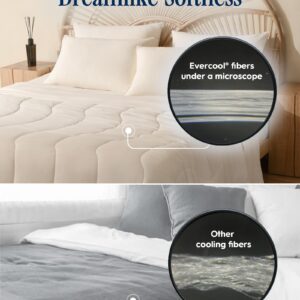 REST® Evercool® Cooling Comforter, Good Housekeeping Award Winner for Hot Sleepers, All-Season Lightweight Blanket to Quickly Cool Down, Snow Ivory - Full/Queen 90"x90"