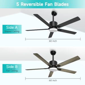 BECLOG Ceiling Fan with Light, 60" Ceiling Fans with Remote Indoor Outdoor DC Motor Modern Ceiling Fan with Light LED for Dining Room, Bedroom, Kitchen, Living Room, Patios, Farmhouse