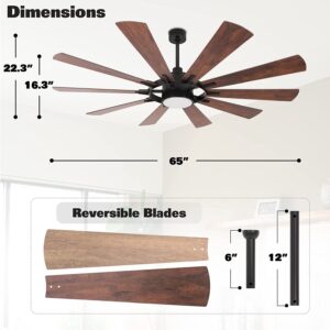 hykolity Ceiling Fan with Light and Remote 65 inch Farmhouse Large Ceiling Fan, Reversible Motor and Blades, 5CCT Selectable, for Living Room Basement Sunroom Porch Patio, 6-Speed Remote Control