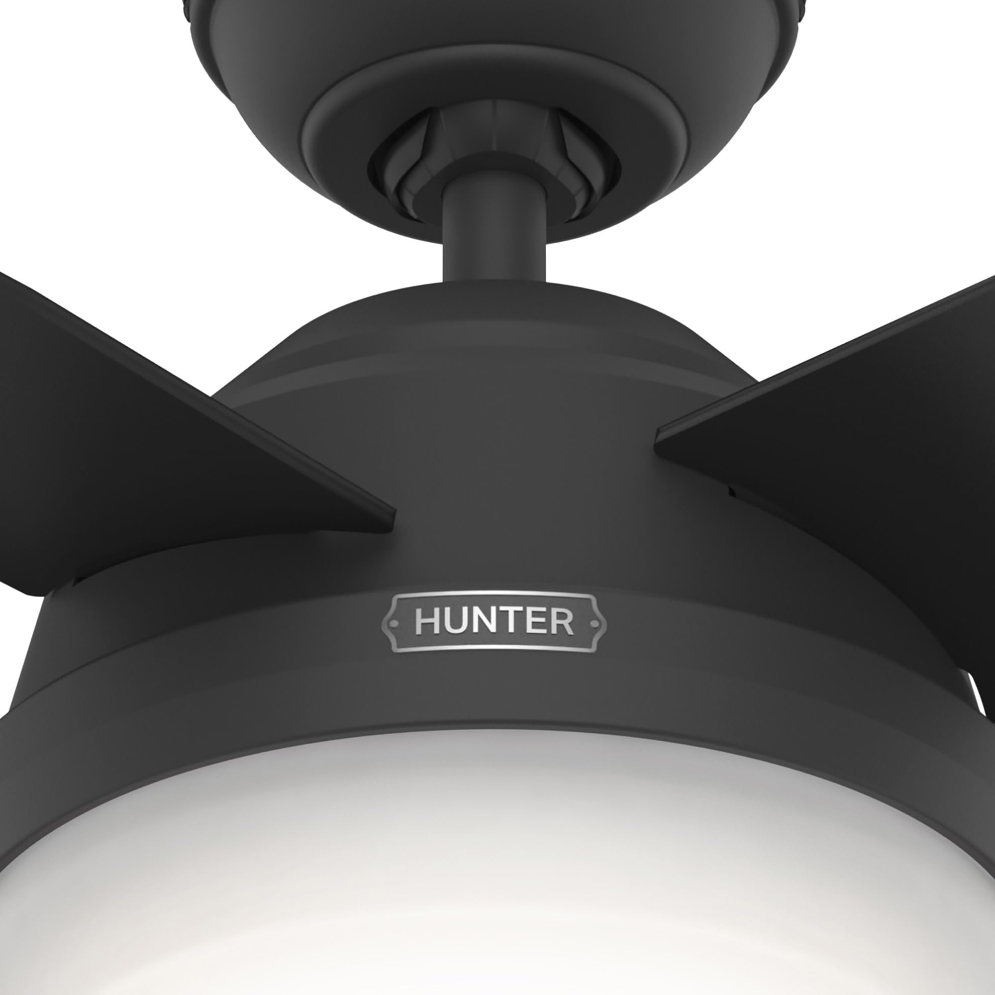 Hunter Fan Company 52391 Dempsey Ceiling Fan, 44 Inches, Matte Black