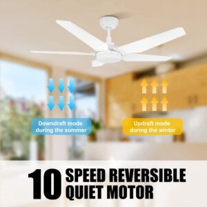 SMAAIR 52 inch Smart Ceiling Fan with Light, 5 Blades Low Profile Ceiling Fan with 10 speed DC Motor and Dimmable LED Light, works with APP/Alexa/Google Assistant/Siri Shortcuts (White)