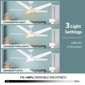 SMAAIR 52 inch Smart Ceiling Fan with Light, 5 Blades Low Profile Ceiling Fan with 10 speed DC Motor and Dimmable LED Light, works with APP/Alexa/Google Assistant/Siri Shortcuts (White)