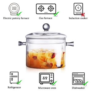 1.9 L/ 67 Fl Oz Clear Glass Pots for Cooking with Lids Saucepan with Cover Simmer Pot Milk Pot Heat-Resistant Glass Stovetop Pot And Pan with Lid, Soup, Milk, Baby Food