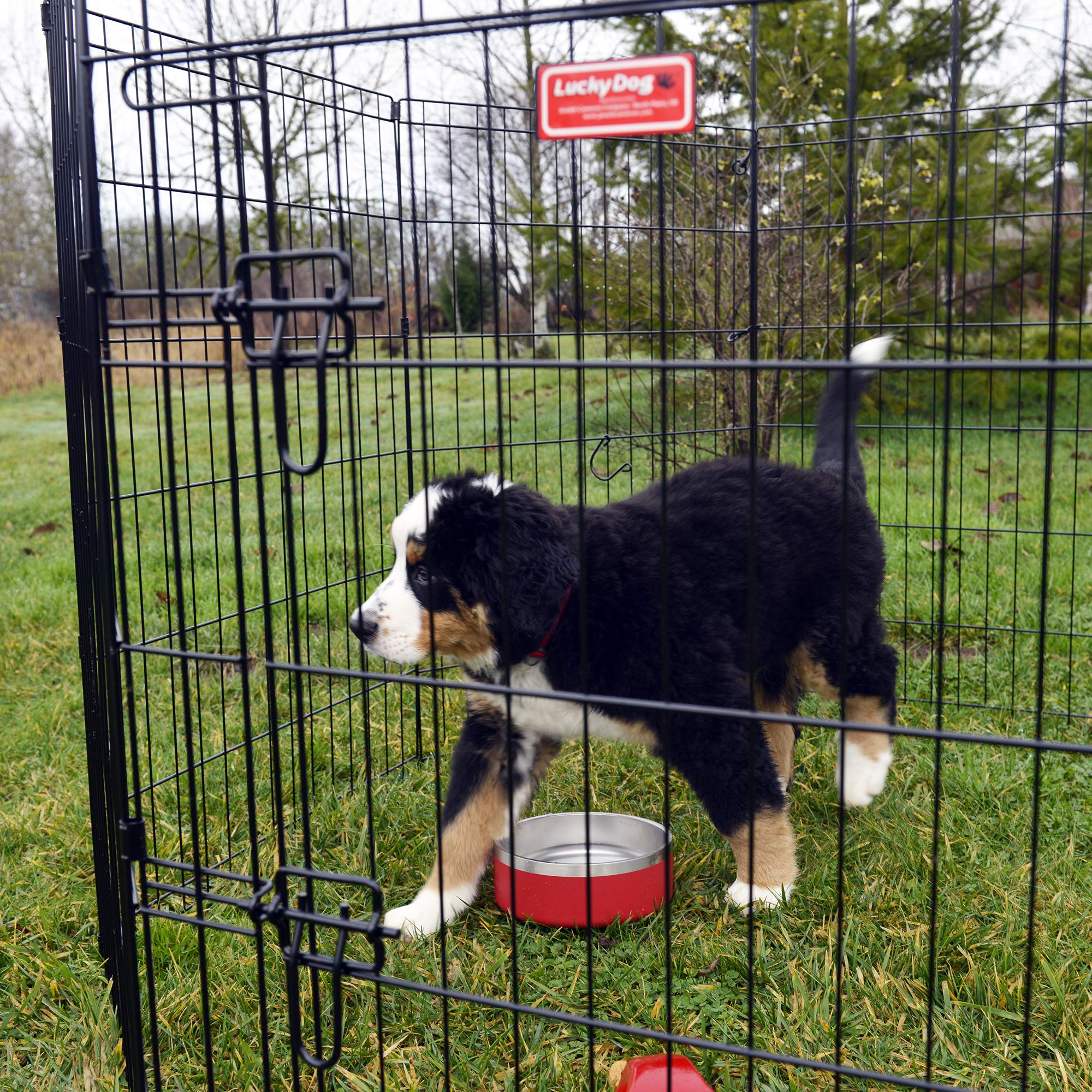 Lucky Dog Modular Pet Play Pen