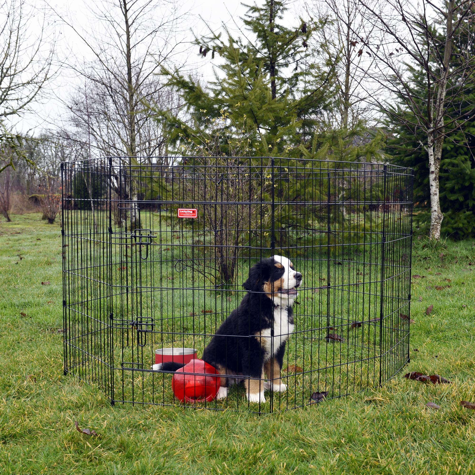 Lucky Dog Modular Pet Play Pen