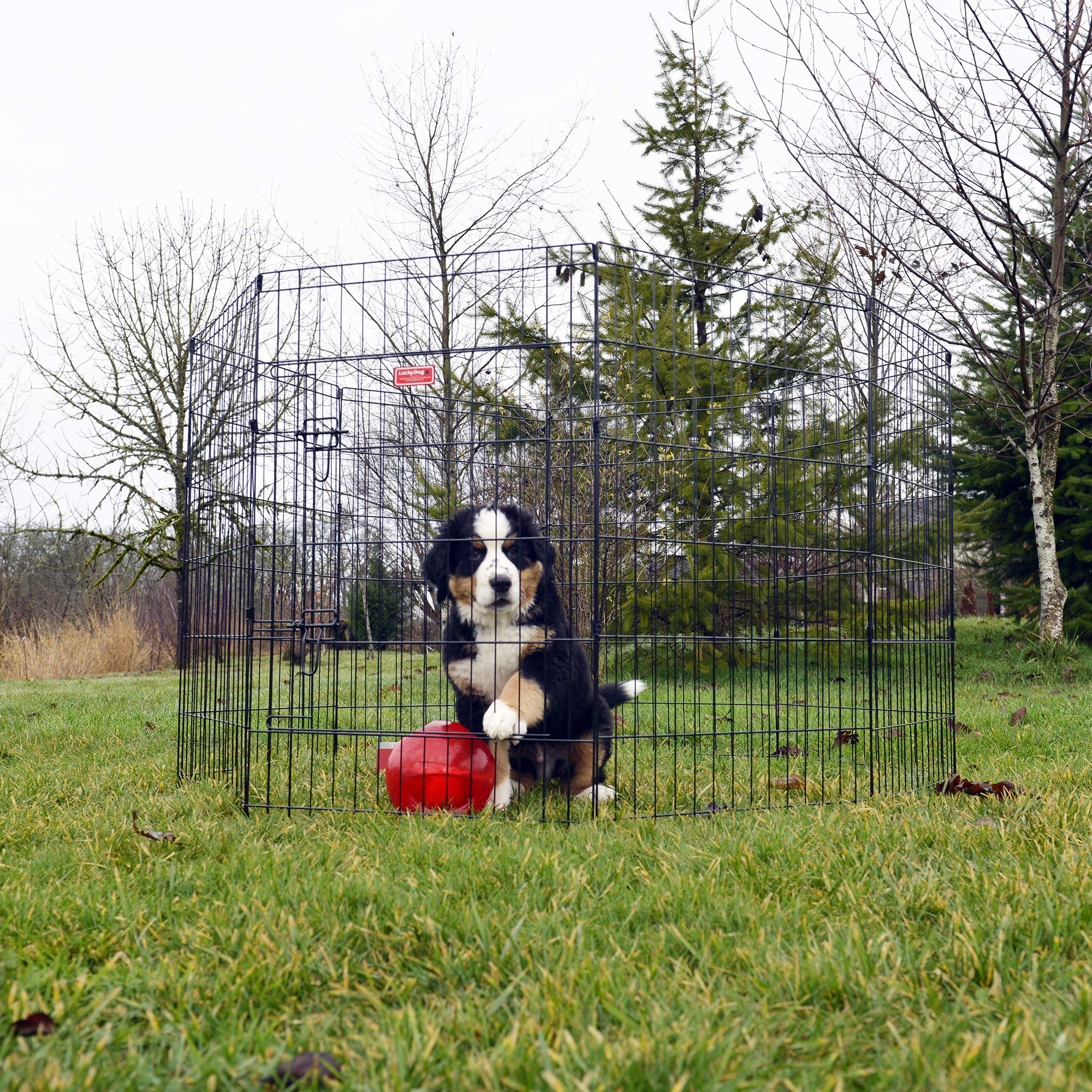 Lucky Dog Modular Pet Play Pen