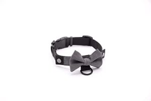 bow gentle - modular dog collar