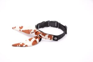 bow teddy long - modular dog collar