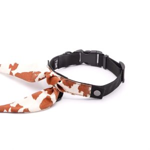 BOW Teddy Long - Modular Dog Collar