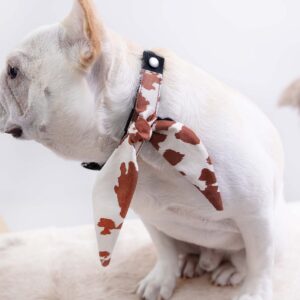 BOW Teddy Long - Modular Dog Collar