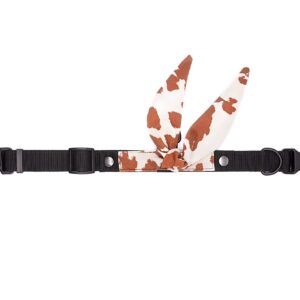 BOW Teddy Long - Modular Dog Collar