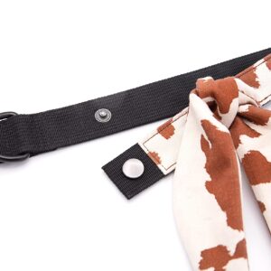 BOW Teddy Long - Modular Dog Collar