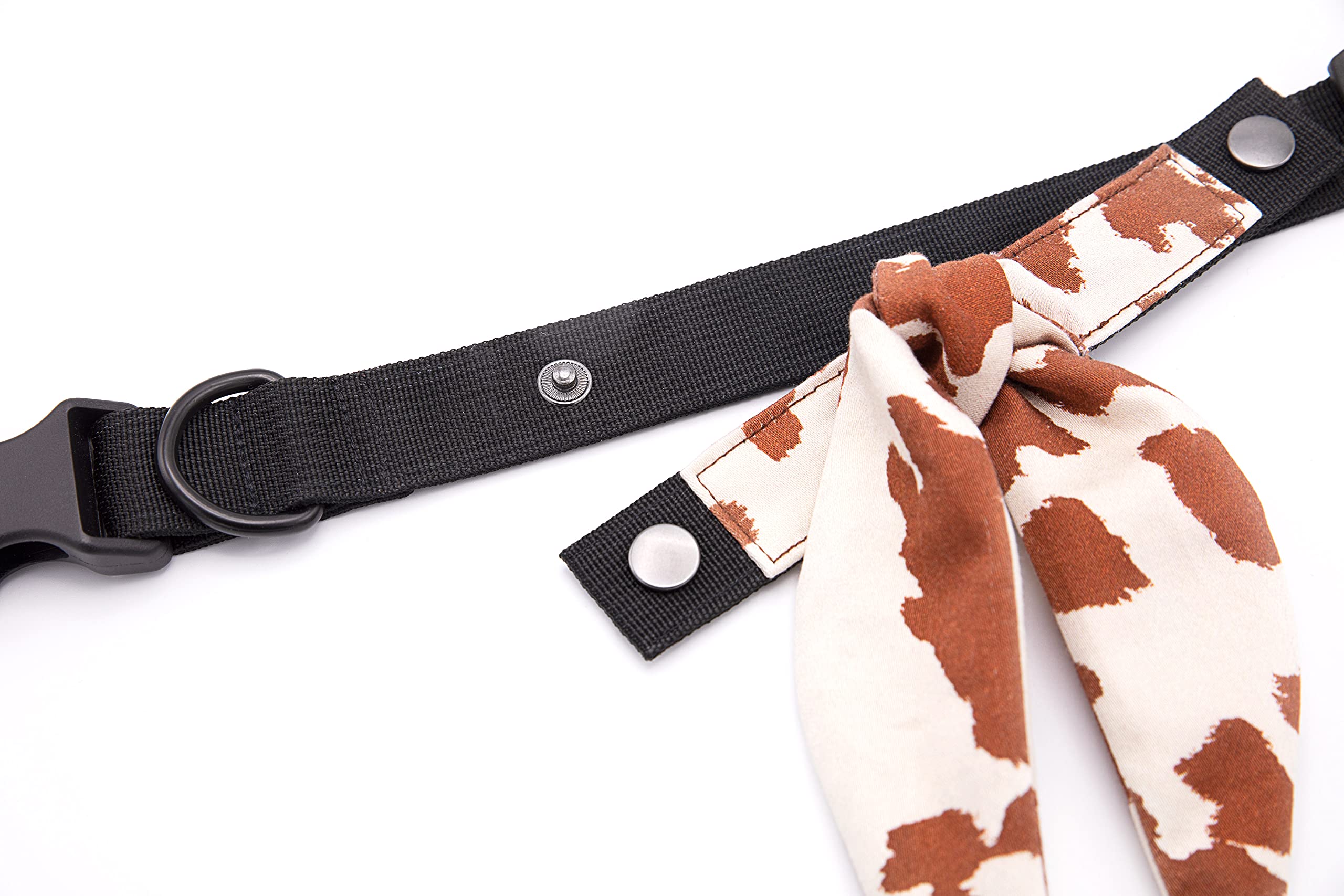 BOW Teddy Long - Modular Dog Collar