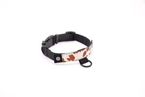 teddy - modular dog collar