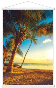 trends international scenery-sunset on the beach wall poster with magnetic frame, 22.375" x 34", premium print and white hanger bundle