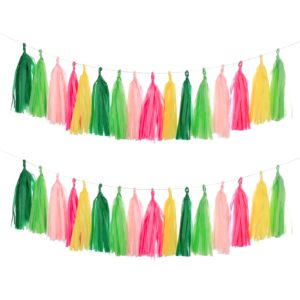 mefuny 25 pcs diy tissue tassels for trial baby shower first birthday bridal shower summer decorations hawaiian luau beach supplies