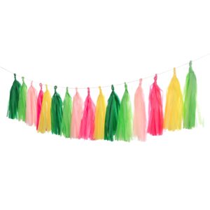 Mefuny 25 PCS DIY Tissue Tassels for Trial Baby Shower First Birthday Bridal Shower Summer Decorations Hawaiian Luau Beach Supplies