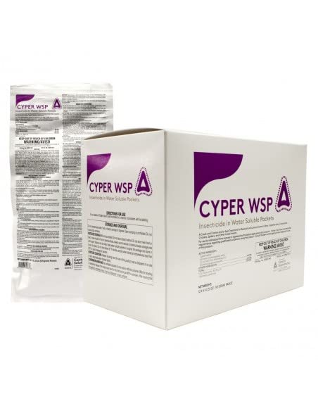 Cyper WSP Box (12 envelopes)