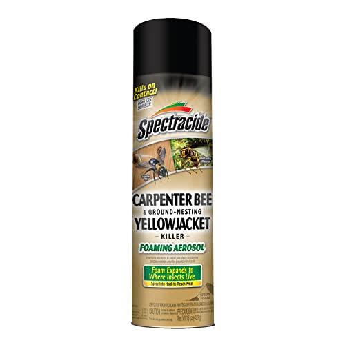 Spectracide Carpenter Bee And Ground-Nesting Yellowjacket Killer Foaming Aerosol 16 Ounce (Pack of 12), Expands To Where Insects Live